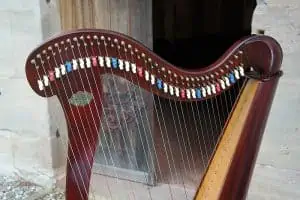 Harp Facts | Ted's List