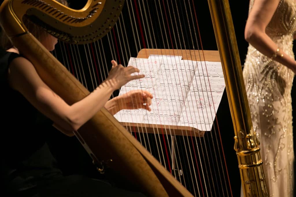 Harp Facts | Ted's List