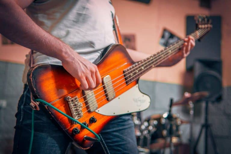 Bass Guitar Facts | Ted's List