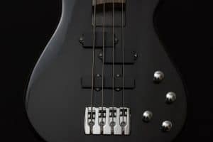 Bass Guitar Facts | Ted's List