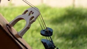 Cello Facts | Ted's List