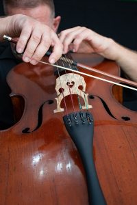 Cello Facts | Ted's List