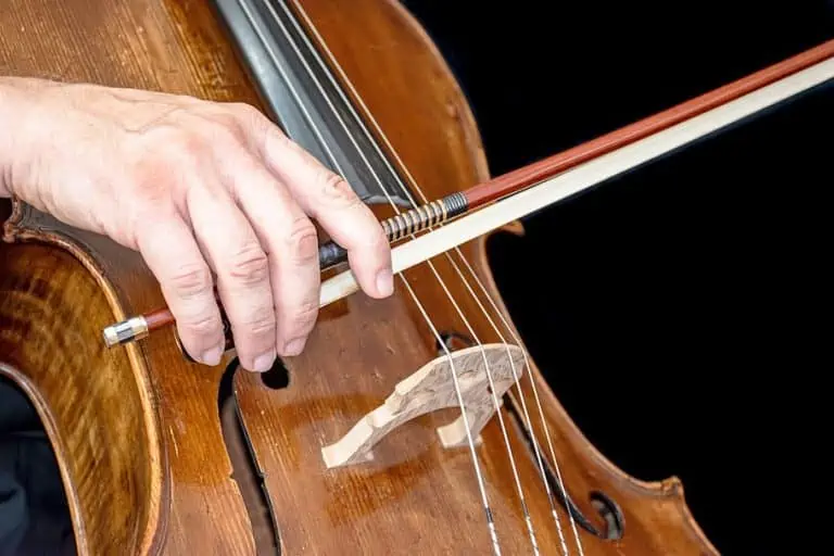 Cello Facts | Ted's List