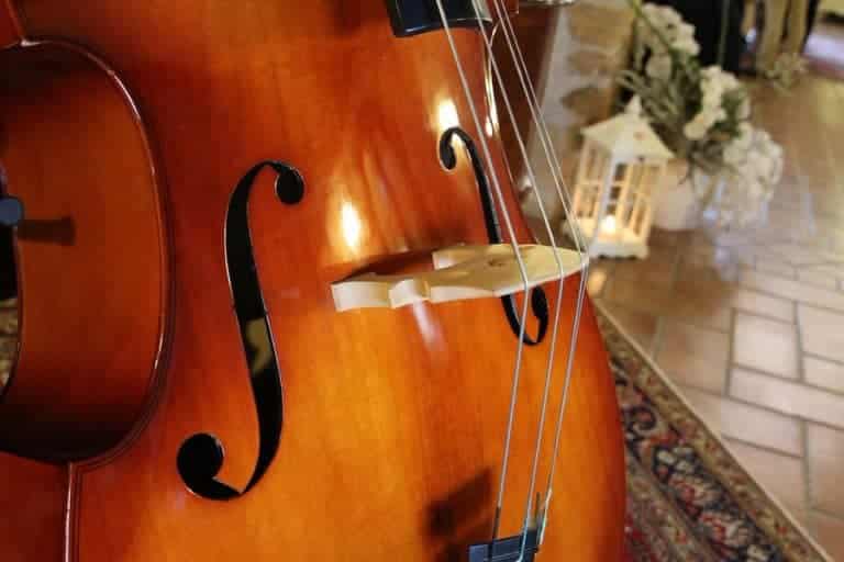 Double Bass Facts | Ted's List