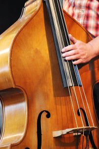 Double Bass Facts | Ted's List