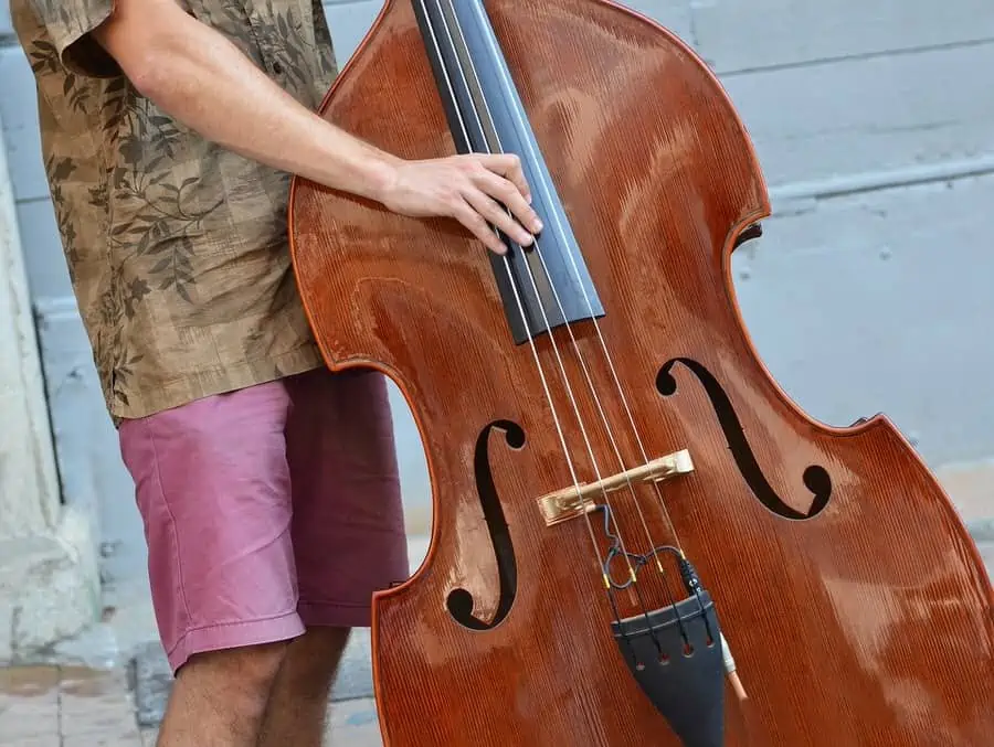 Double Bass Facts | Ted's List