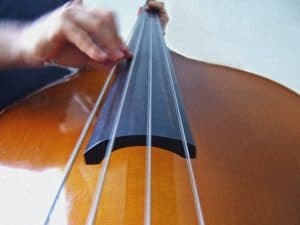 Double Bass Facts | Ted's List