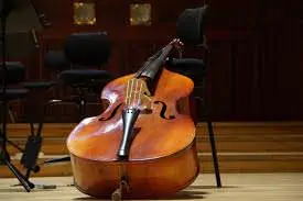 Double Bass Facts | Ted's List