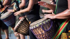 Drums Facts | Ted's List