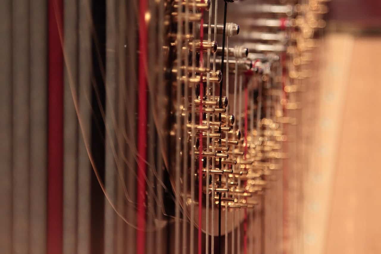 Harp Facts | Ted's List