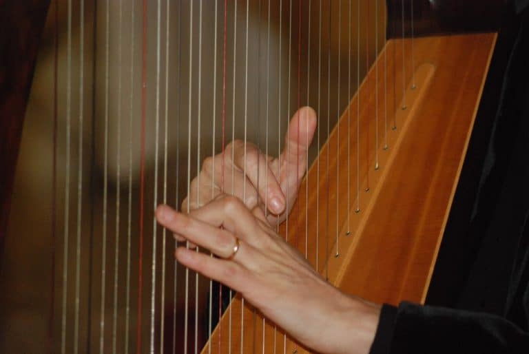 Harp Facts | Ted's List