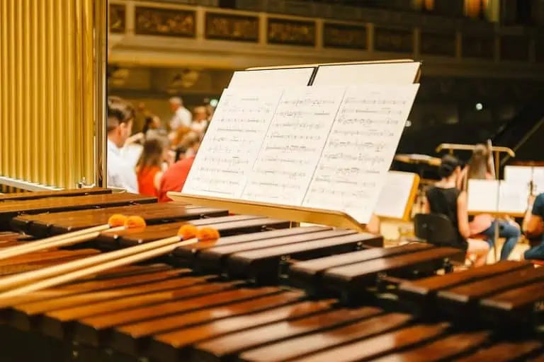 Percussion Facts | Ted's List