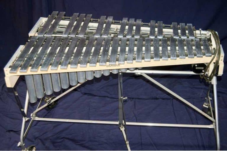 Percussion Facts | Ted's List