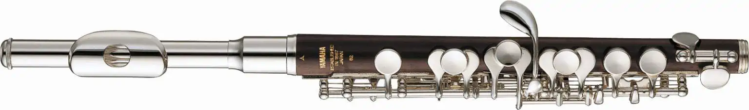 Piccolo Facts | Ted's List