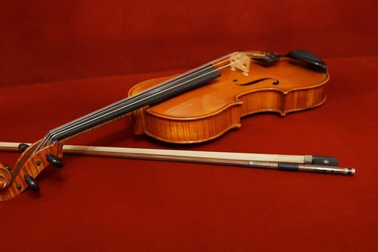 Viola Facts | Ted's List