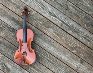 Violin Facts | Ted's List