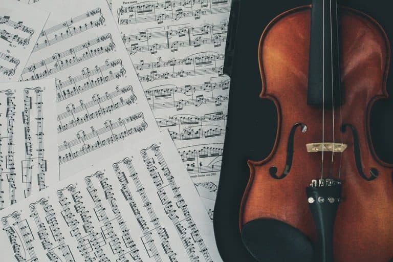 Violin Facts | Ted's List