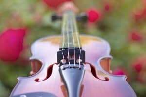 Violin Facts | Ted's List