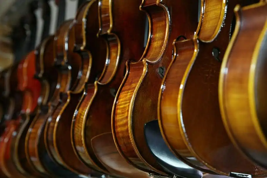 Violin Facts | Ted's List