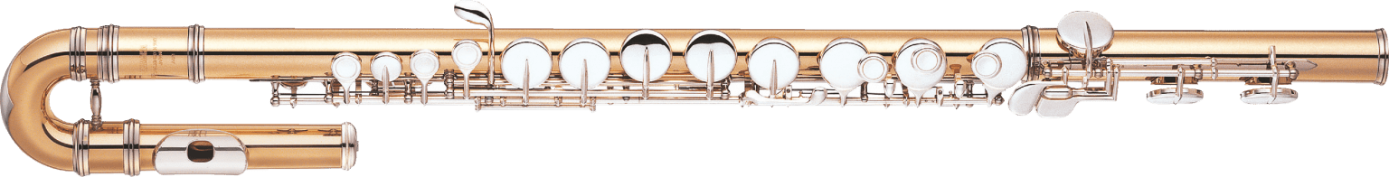 How To Choose A Flute | Ted's List