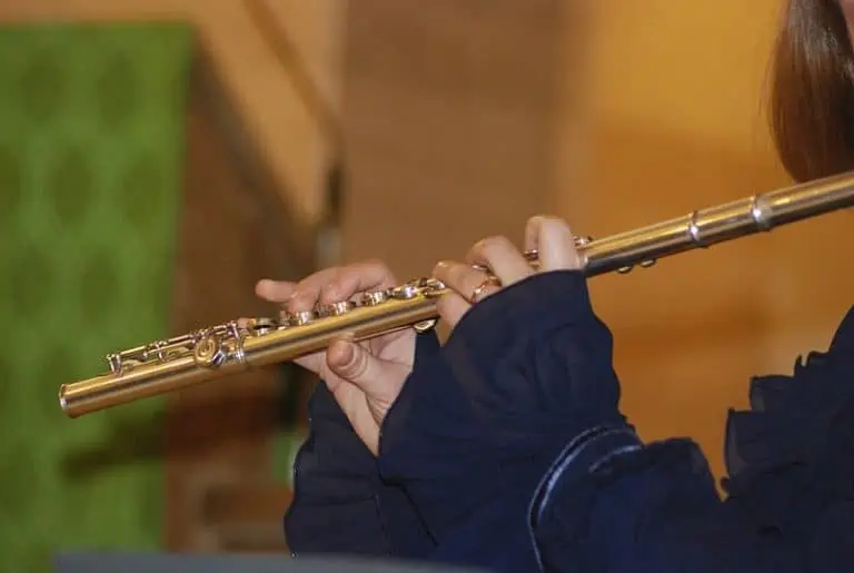 How To Choose A Flute | Ted's List