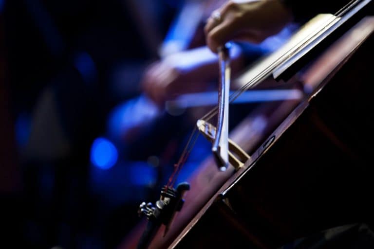 Beginners Guide To Learning The Cello | Ted's List