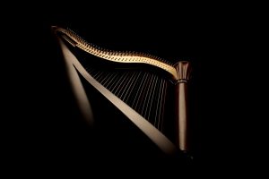 Beginners Guide To Learning The Harp | Ted's List