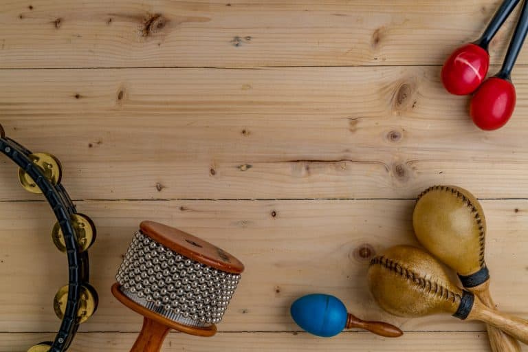 Beginners Guide To Learning Percussion | Ted's List Beginners Guide To Learning Percussion | Ted's List