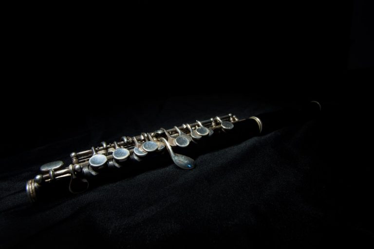 Beginners Guide To Learning The Piccolo | Ted's List