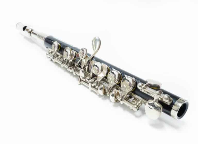 Beginners Guide To Learning The Piccolo | Ted's List