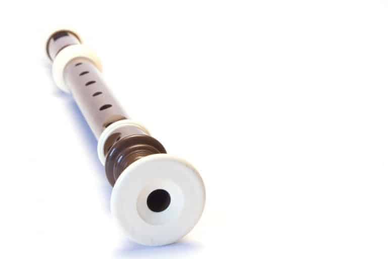 Beginners Guide To Learning The Recorder | Ted's List