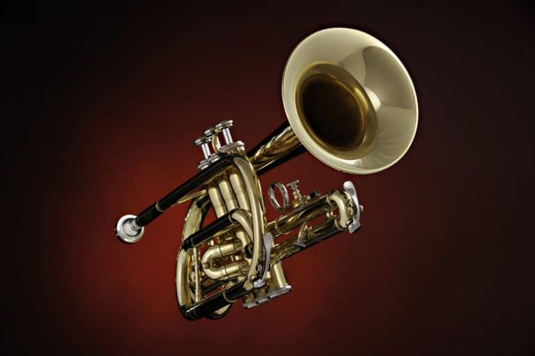 Beginners Guide To Learning The Trumpet | Ted's List
