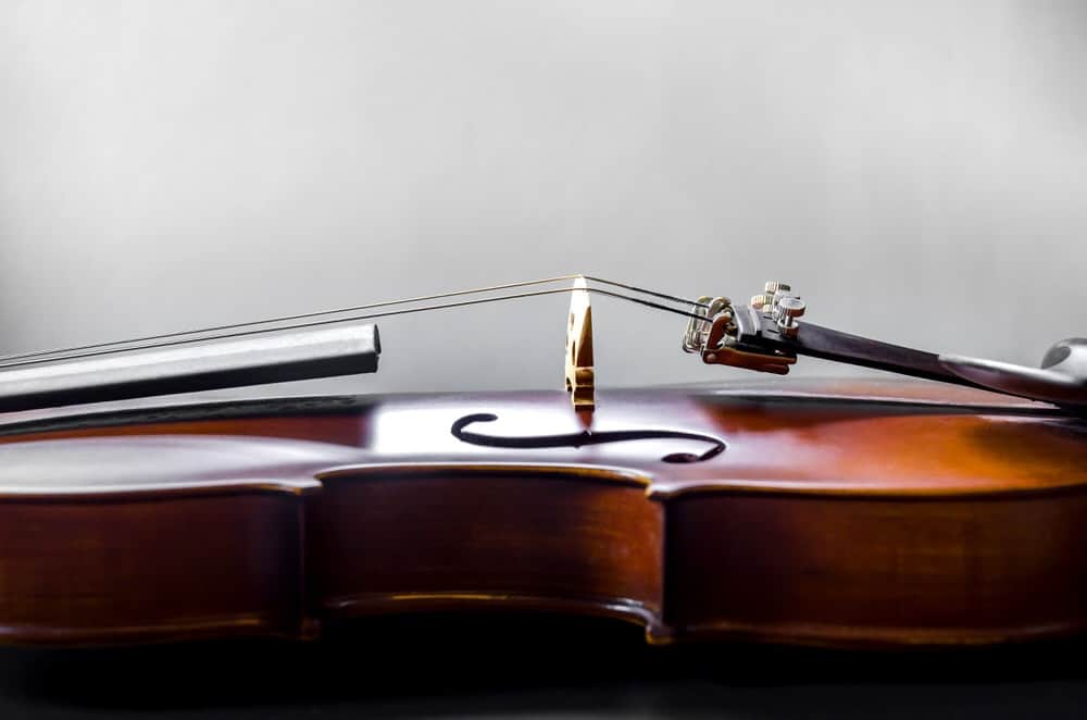 Beginners Guide To Learning The Violin | Ted's List