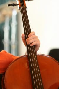 How To Play The Double Bass | Ted's List