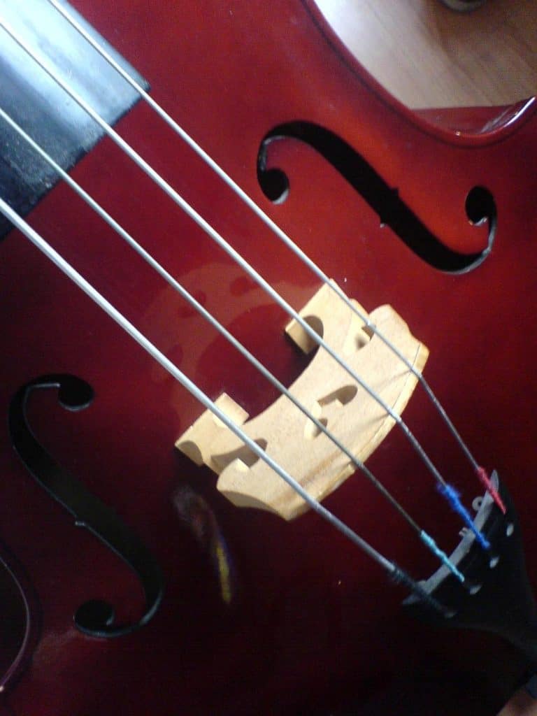 How To Play The Double Bass | Ted's List