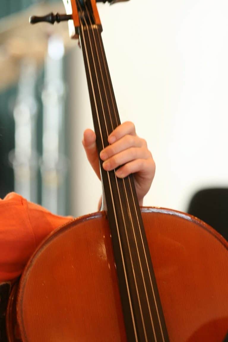 How To Play The Double Bass | Ted's List