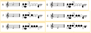 How To Play The Flute | Ted's List