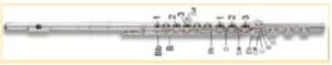 How To Play The Flute | Ted's List
