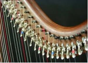 How To Play The Harp | Ted's List
