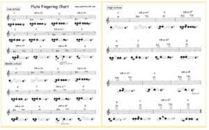 How To Play The Piccolo | Ted's List