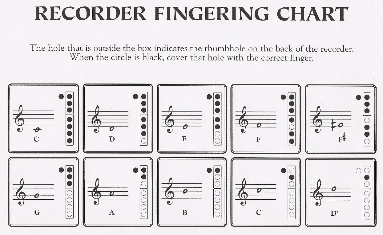 How To Play The Recorder | Ted's List