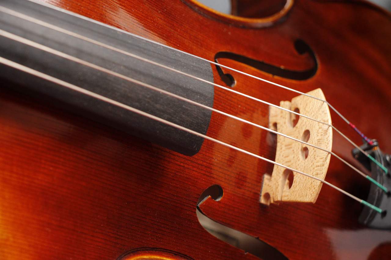 How To Play The Viola | Ted's List