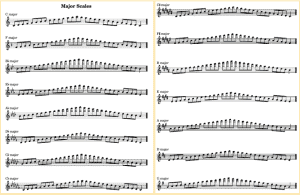 Improve Your Piccolo Technique | Ted's List