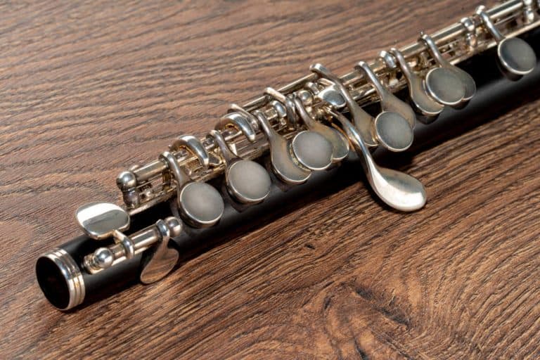 Piccolo Learning Methods | Ted's List