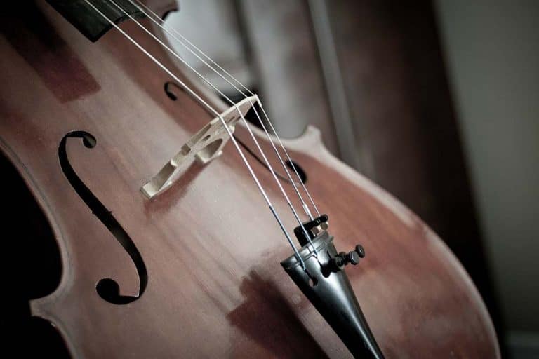 String Instrument Sizes | Ted's List
