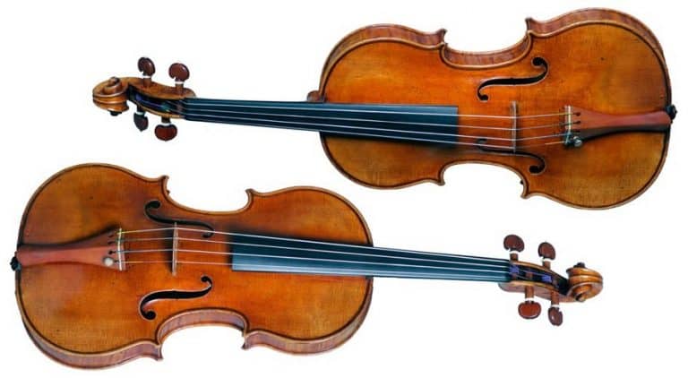 Violin Vs Fiddle | Ted's List