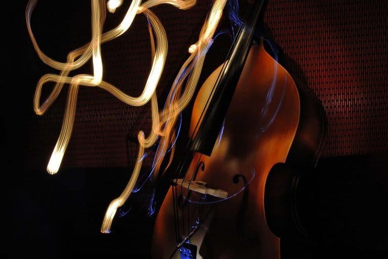 How To Play Double Bass - Top 10 Tips | Ted's List