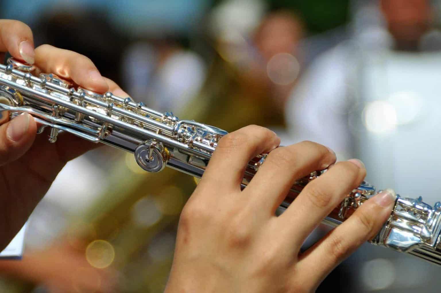 How To Play The Flute - Top 10 Tips | Ted's List