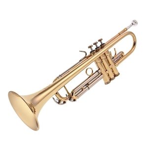 Top 11 Trumpets For Beginners | Ted's List