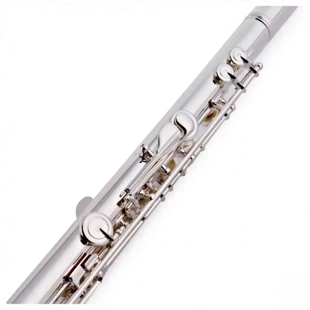 We Reveal The Best Flute For Professional (2025) | Ted's List